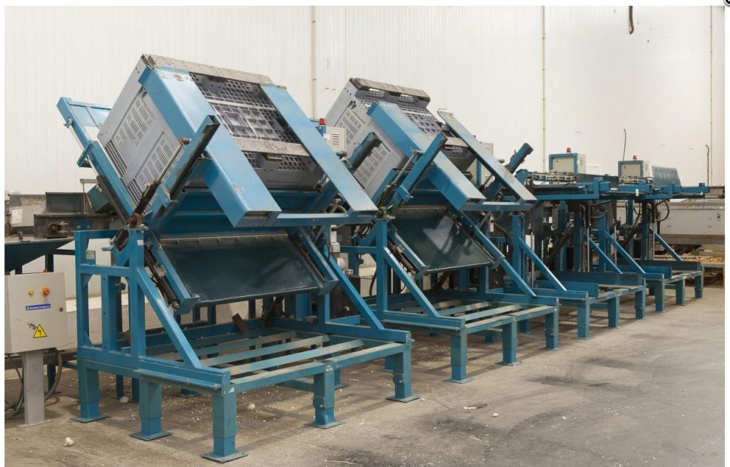 Vaciador de bins simple – Tecnofruta Levante, SL